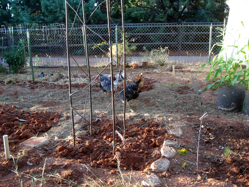 Summer's Heat and Copper Outdoors - Mike Dumas Copper Designs Blog